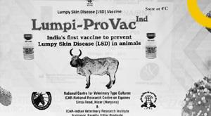 Explore Latest Blogs on Start blogs/keyword/lumpy-skin-disease